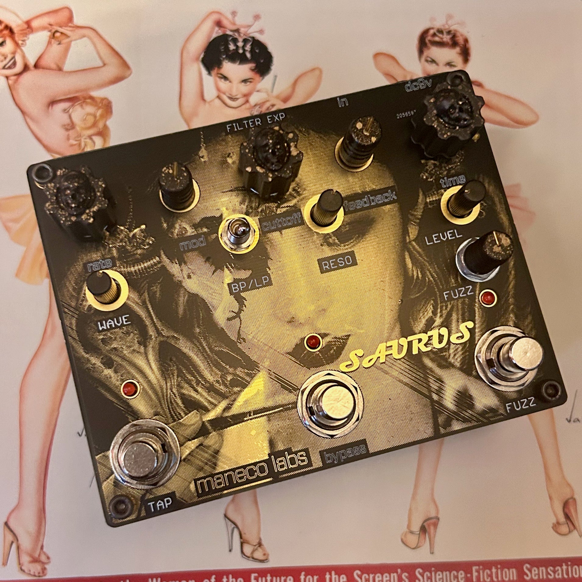 Saurus Fuzz/Filter – Joe's Pedals